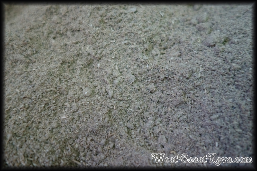 Kava (Solomon) - Quicksand (100% lateral) | Shaman Nation