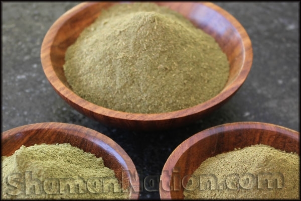 *Premium Bali - Powder | Shaman Nation